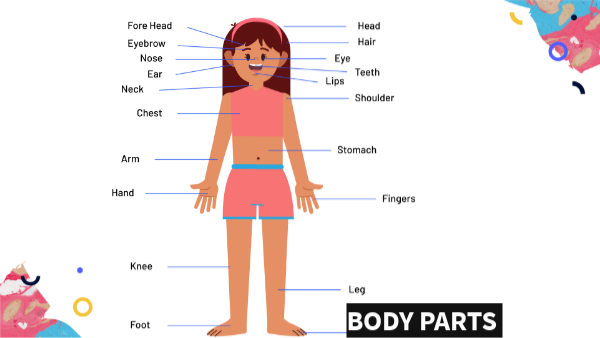 Body parts | Genially