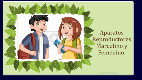 APARATOS REPRODUCTORES