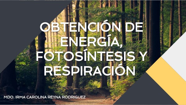 FOTOSÍNTESIS Y RESPIRACIÓN CELULAR | Genially