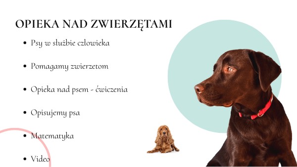 opieka nad zwierzętami | Genially