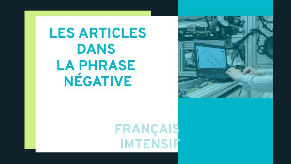 L'article et la négation | Genially