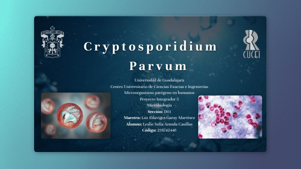 Cryptosporidium Parvum