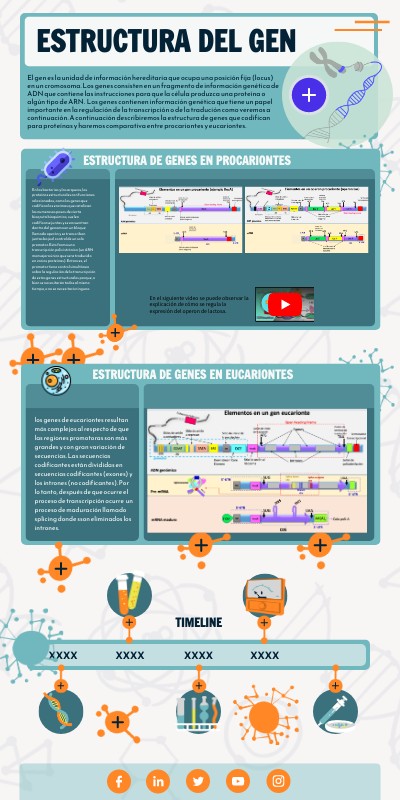INFO GENES | Genially