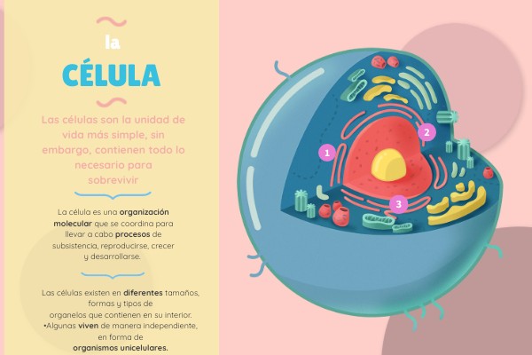 LA CÉLULA | Genially