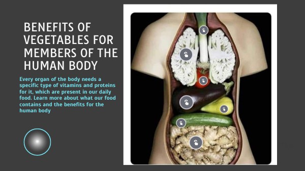 vegetables that help internal organs | Genially