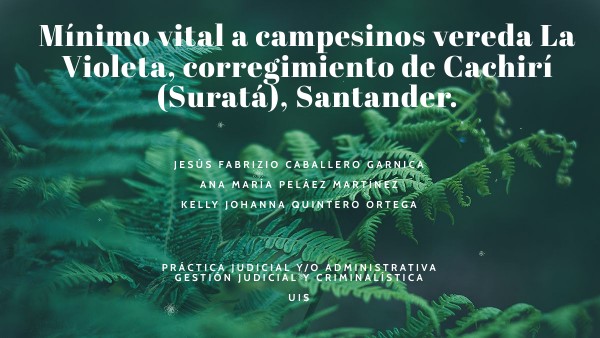 PENSION PARA CAMPESINOS DEL CORREGIMIENTO DE CACHIRÍ EN EL MUNICIPIO D