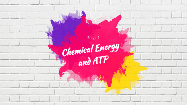 CHEMICAL ENERGY AND ATP | Genially