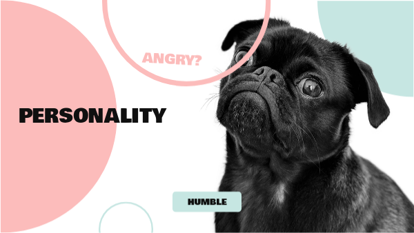 PERSONALITY TRAITS | Genially