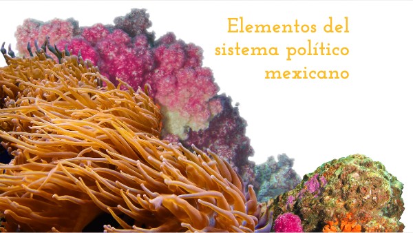 Elementos del sistema político mexicano