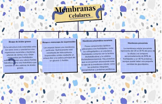 Membrana Celulares | Genially