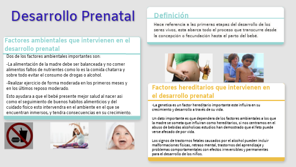 desarrollo parental | Genially