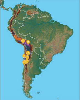 Capacocha | Genially