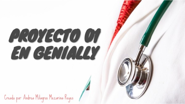PROYECTO 01 EN GENIALLY