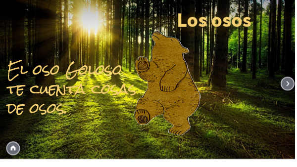 Los osos | Genially