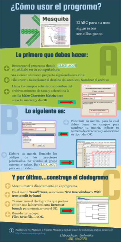 Instrucciones programa Mesquite | Genially
