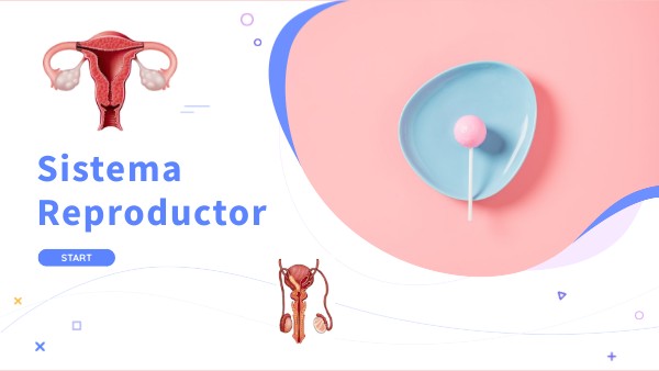 Sistema Reproductor | Genially