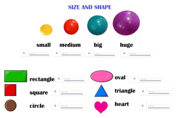 Size and Shape | Genially