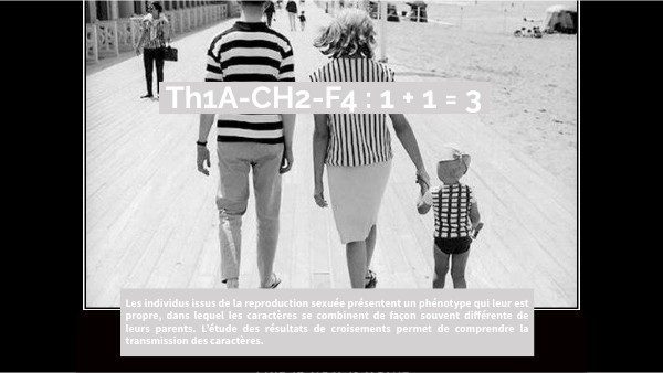 TSpé-TH1A-CH2-F4 : Hérédité