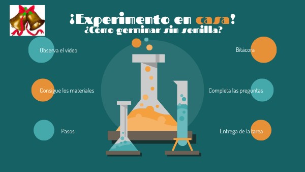 Experimento plantas sin semillas | Genially