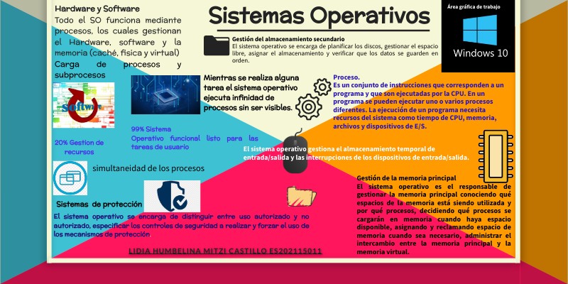 Actividad Complementaria | Genially