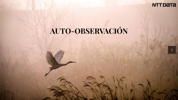 Auto-observación