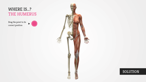 Body bones and muscles | Genially