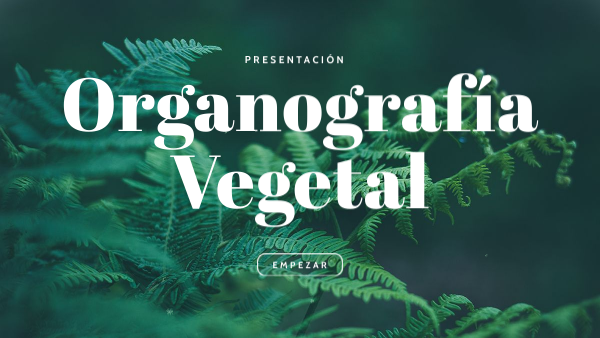 Organografía Vegetal