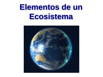 Elementos de un ecosistema | Genially