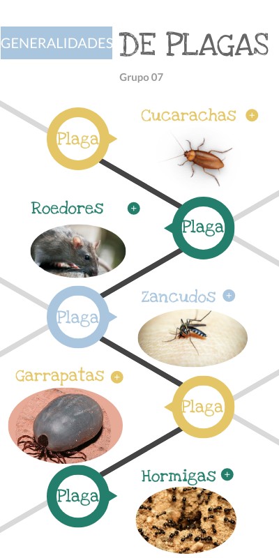 GENERALIDADES DE PLAGAS | Genially