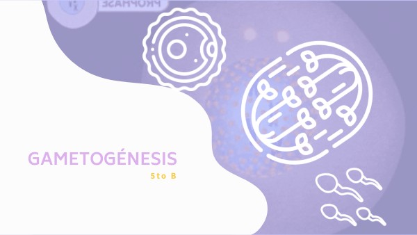 Gametogénesis