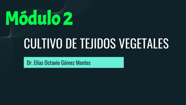 EXPERIMENTACIÓN in vitro | Genially