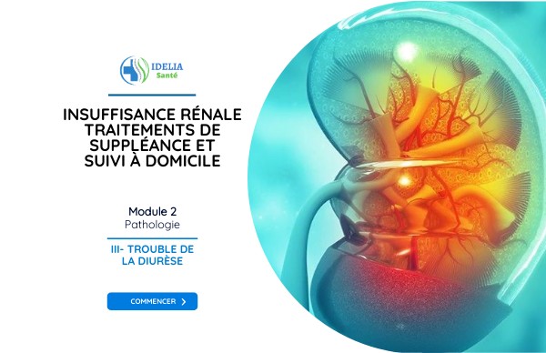 Module 2 - 3 Trouble de la diurèse
