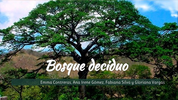 Bosque Deciduo | Genially