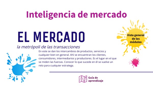 IDM P2024 Mapa de curso