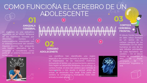 COMO FUNCIONA EL CEREBRO DE UN ADOLESCENTE | Genially