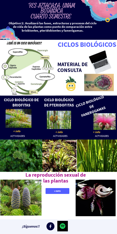 Ciclos biológicos