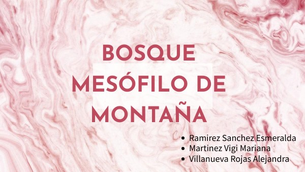 Bosque Mesófilo de Montaña | Genially