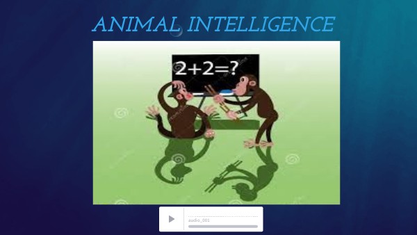 ANIMAL INTELLIGENCE