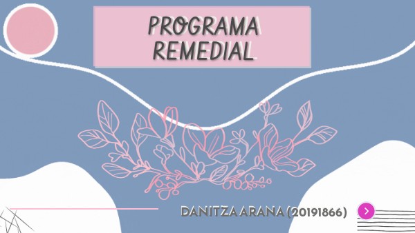 PROGRAMA REMEDIAL