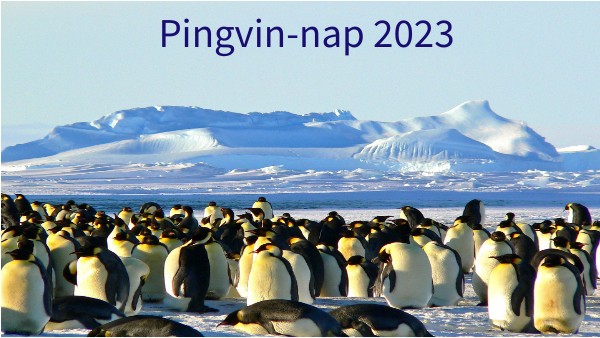 Pingvin 2023