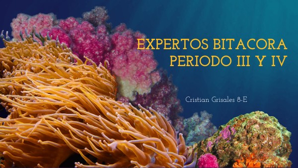 Bitacola cuarto periodo expertos | Genially
