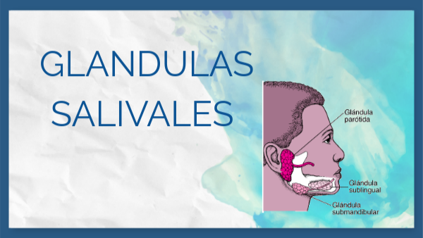Glándulas Salivales
