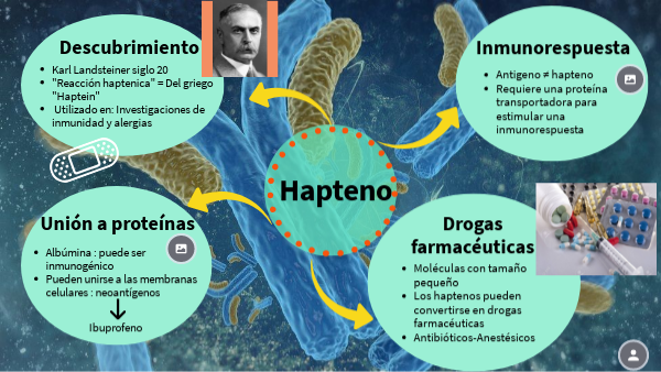 hapteno | Genially
