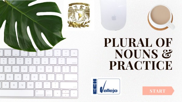Plural practice | Genially