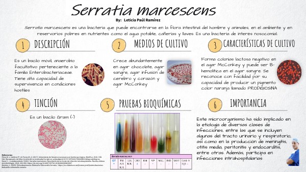 Serratia | Genially