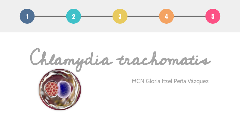 Renov_MM_CT | Genially