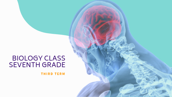 BIOLOGY 7.3 | Genially
