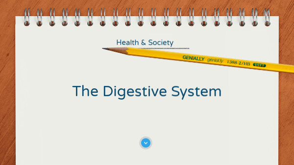 Digestive System | Genially