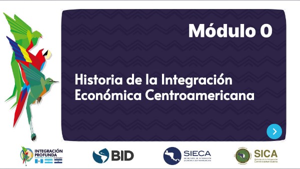 Módulo 0: Introducción