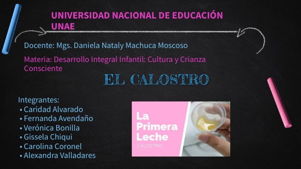 PRESENTACIÓN desarrollo